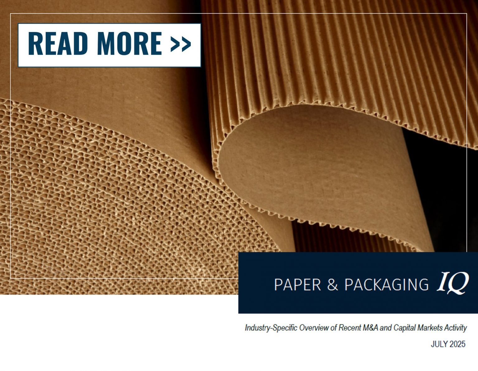 Paper & Packaging - Q2 2025 | Amherst Partners